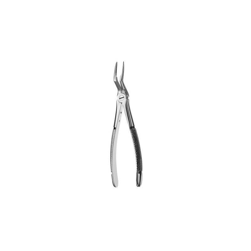 FORCEPS N.97 EUROP MS RAICES - Dentaliberica
