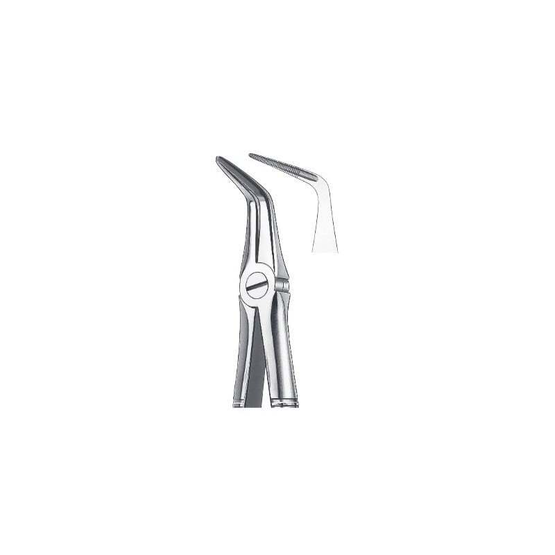 FORCEPS RAÍCES INF 145 CARL MARTIN - Dentaliberica